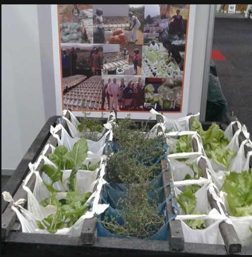 The garden in a packet - Yenkasa Africa