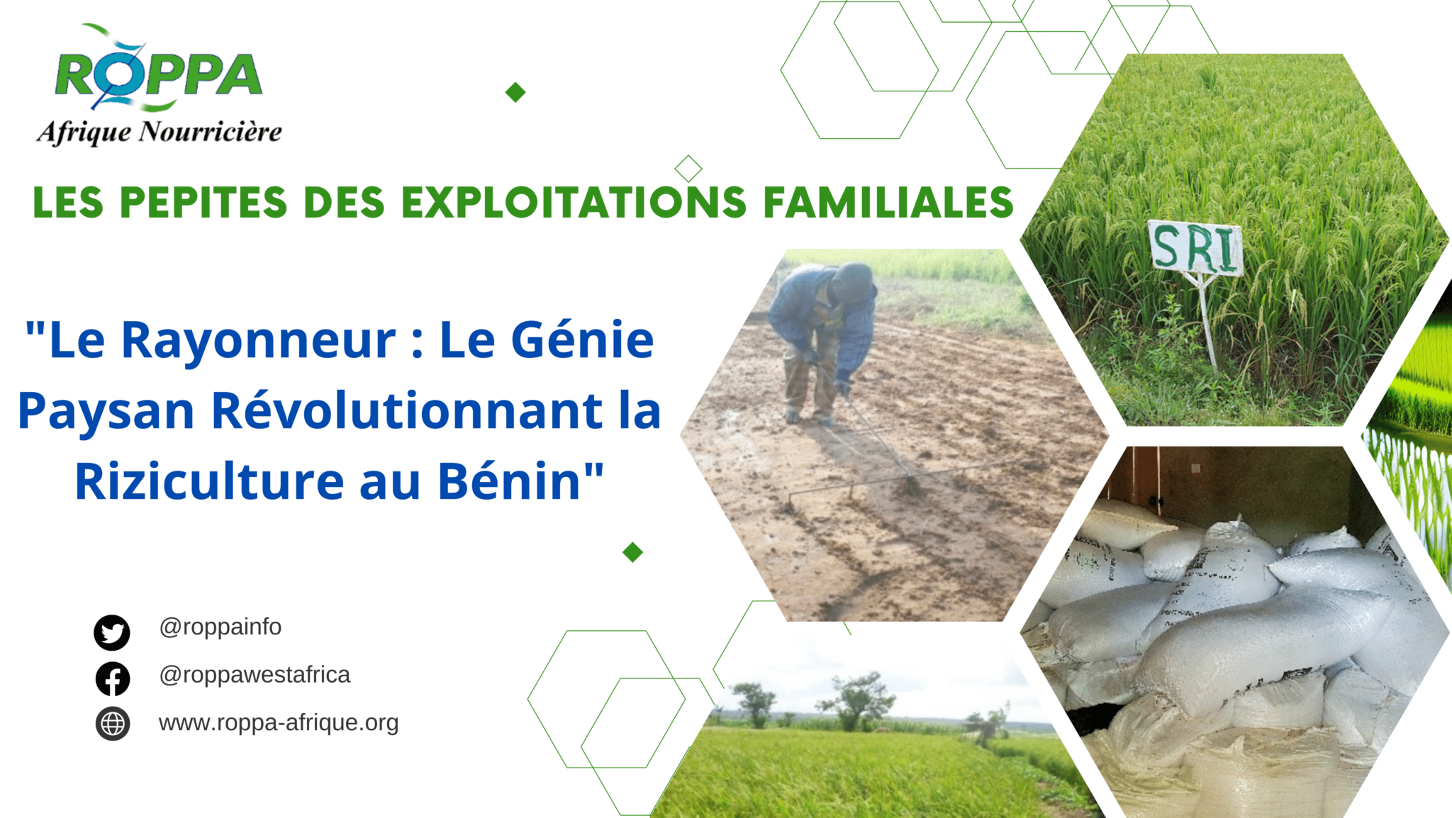 Seeder: The ingenious farming tool revolutionizing rice farming in ...