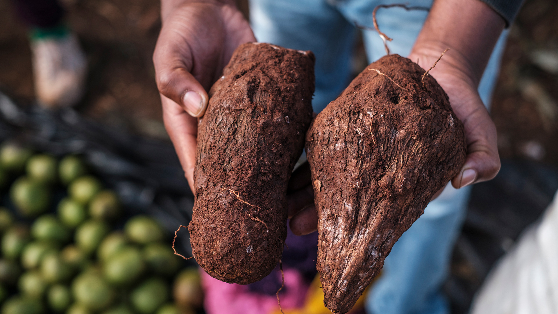 Rediscovering Africa’s native foods for a sustainable agricultural ...